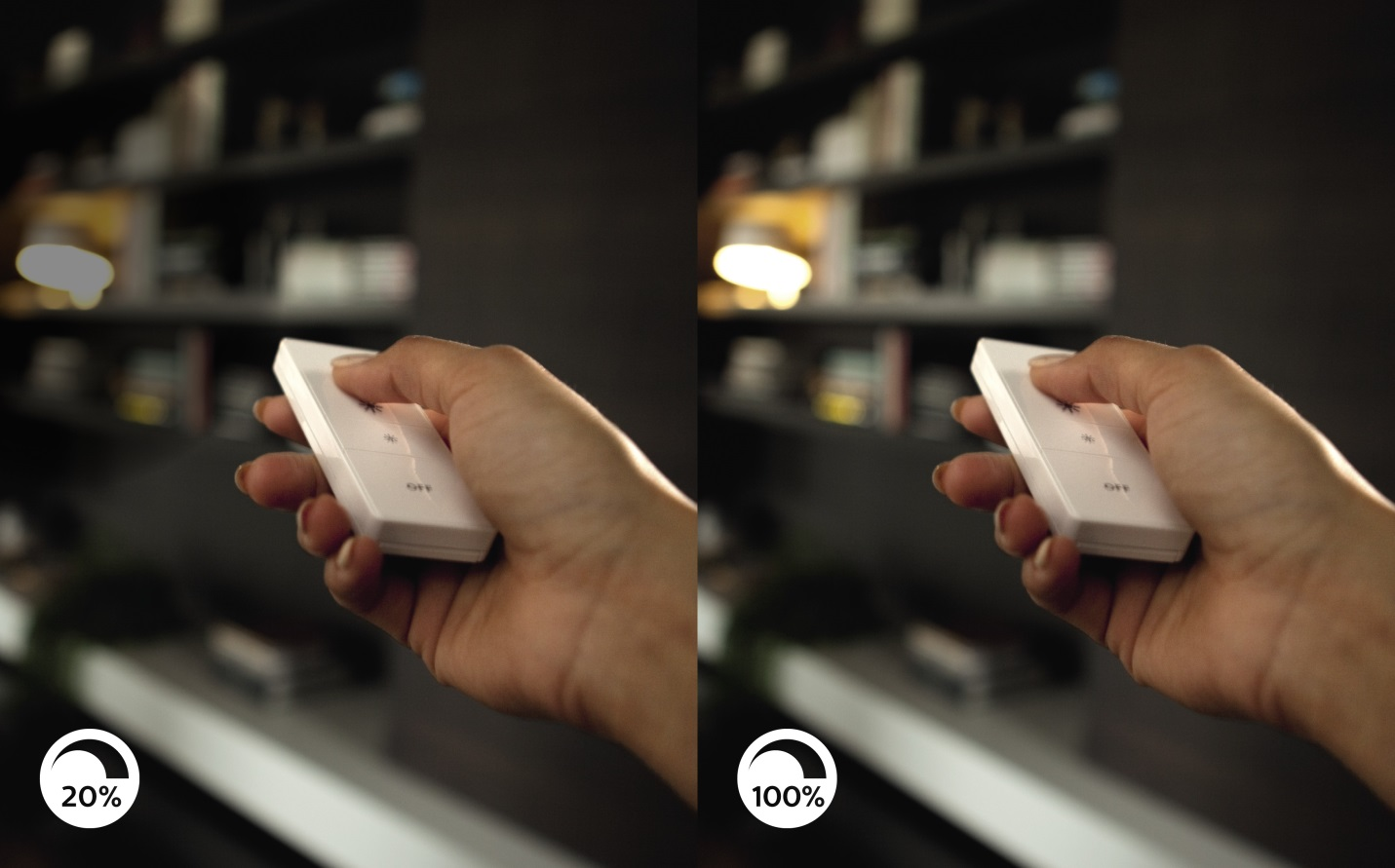 Công tắc Điều Chỉnh Độ Sáng Philips Hue Dimmer Switch – Halula